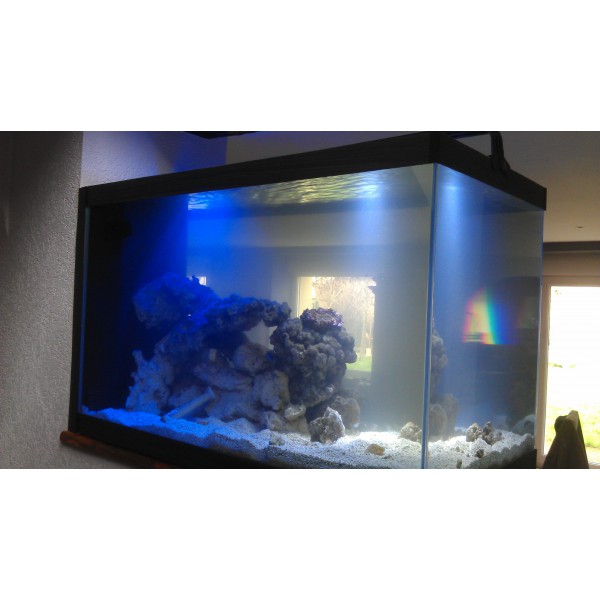 Aquarium 600 litres - Aquabiance